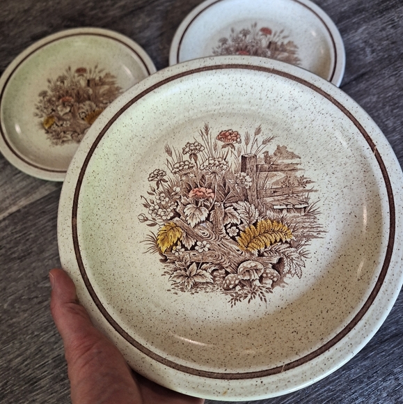 Vintage | Dining | Vintage 3piece Cottagecore Churchill England Plates ...